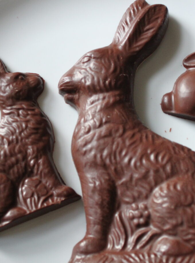 Chocolate Shop - Exploding Tree | Bean-to-Bar Chocolate & Workshops