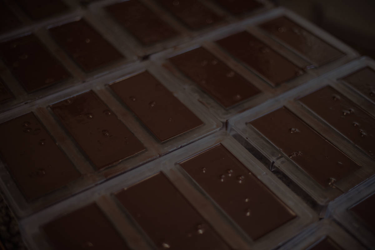 Bean-to-Bar Workshop - Exploding Tree | Bean-to-Bar Chocolate & Workshops